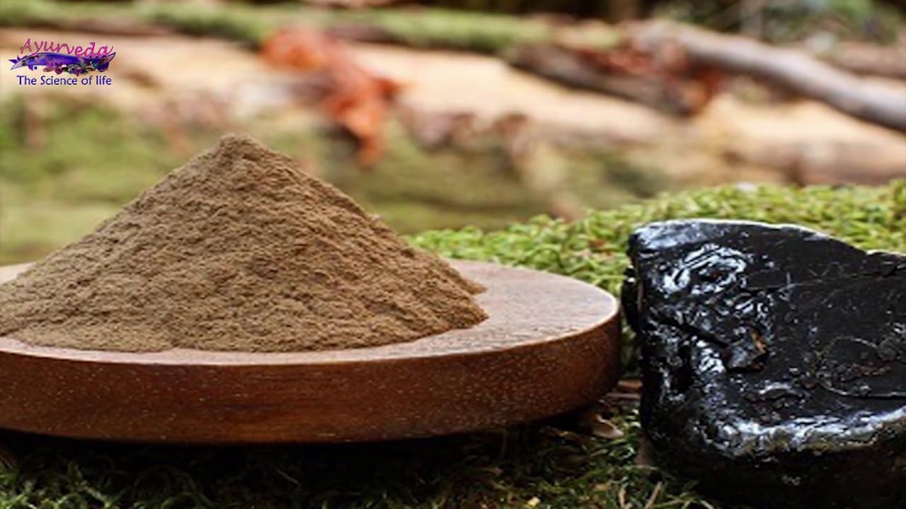 Top Ayurvedic Shilajit Manufacturers in India | Shilajit Companies